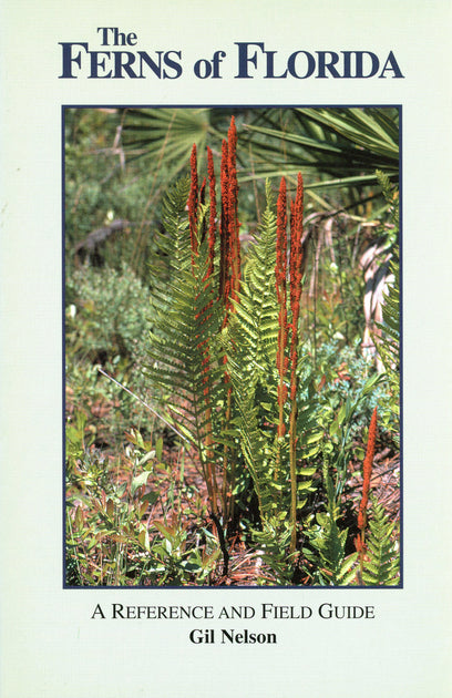 The Ferns of Florida: A Reference and Field Guide | Boca History