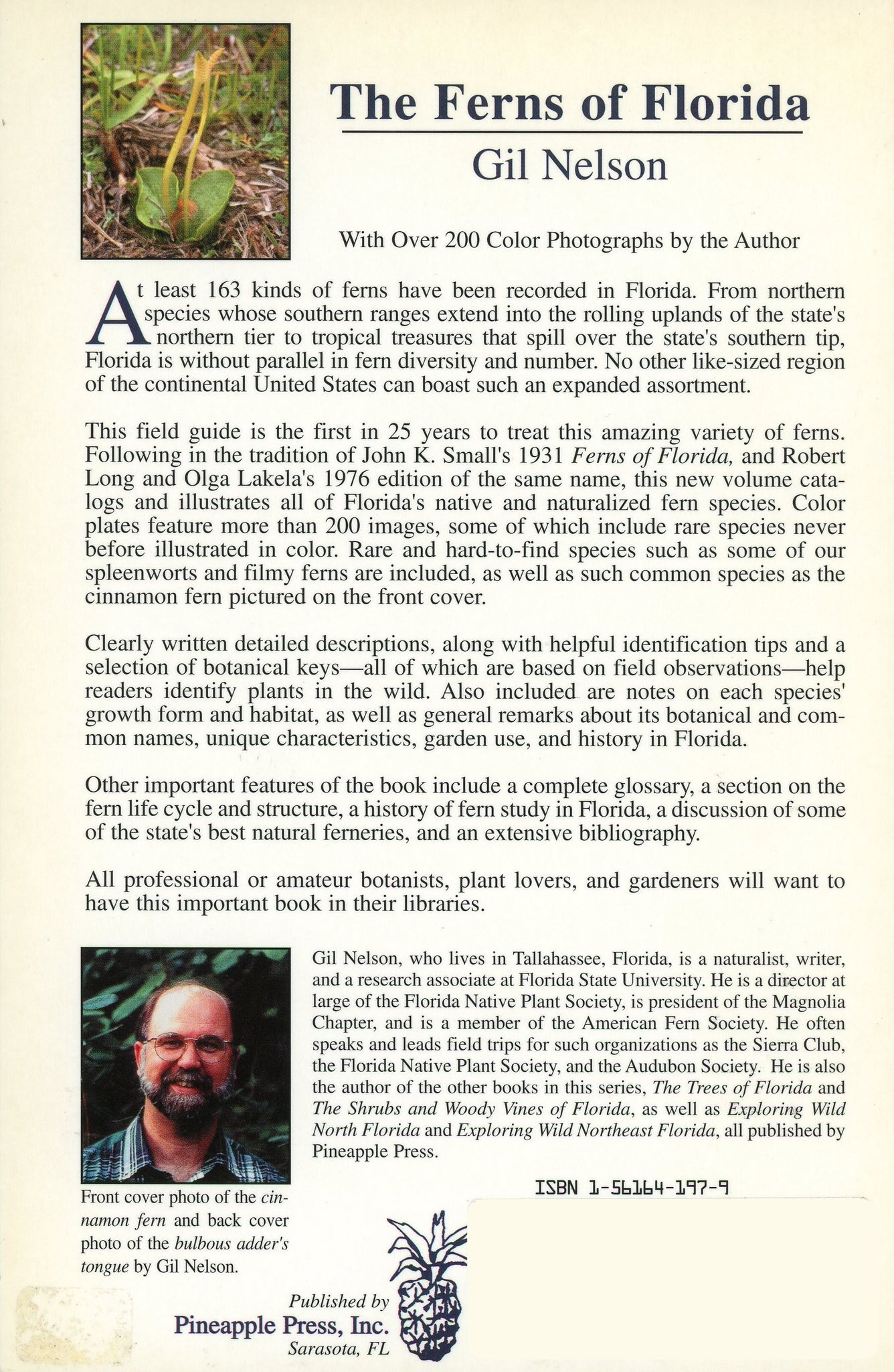 The Ferns of Florida: A Reference and Field Guide | Boca History